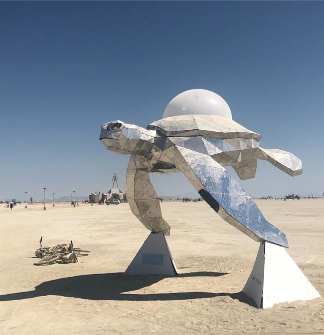 Turtle | Odd Stuff Magazine