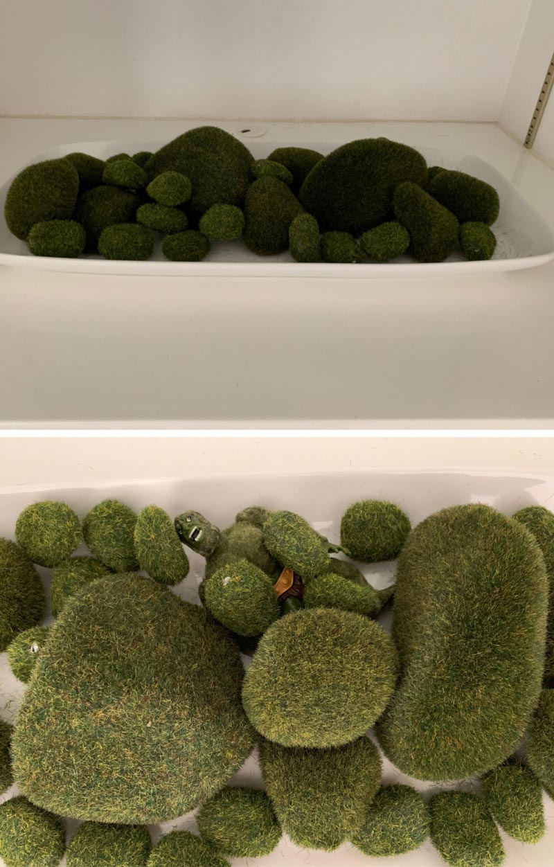 Funny Pictures – March 1, 2019