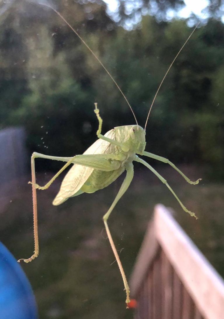 Funny Pictures – September 19, 2019