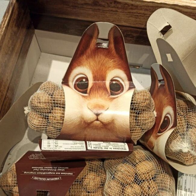 Squirrel cheeks | Odd Stuff Magazine