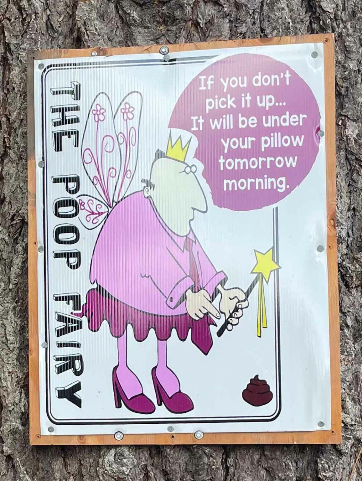 The Poop Fairy | Odd Stuff Magazine
