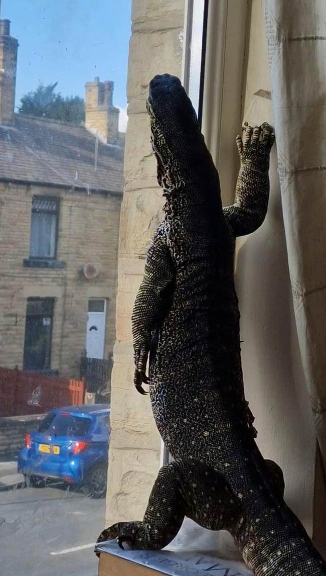 Funny Pictures – November 19, 2024