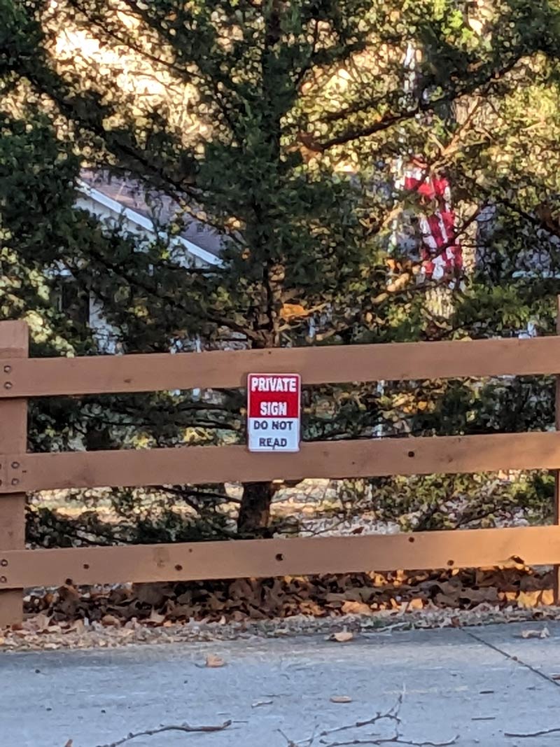 This caught me off guard | Odd Stuff Magazine