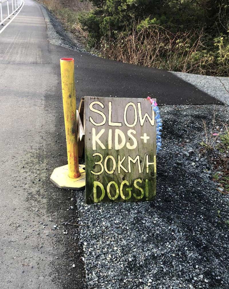 Funny Pictures – February 3, 2025