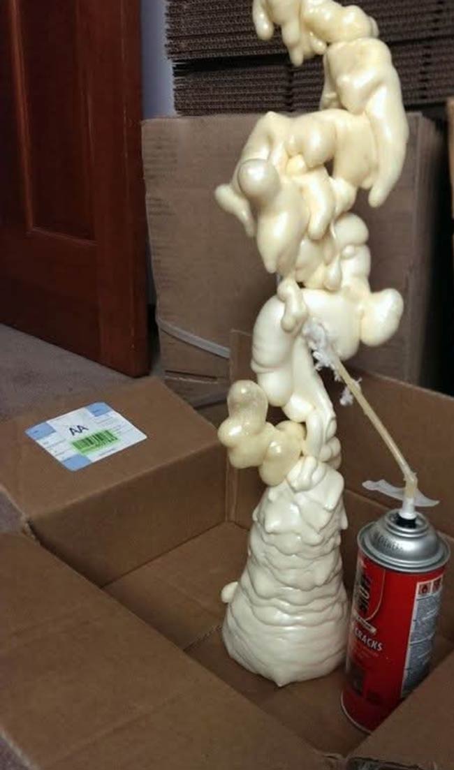 Funny Pictures – June 11, 2025