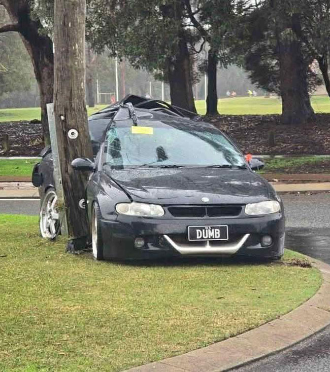 Funny Pictures – August 3, 2025