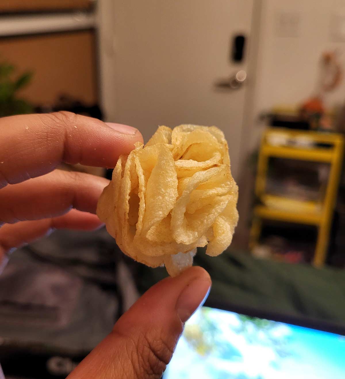 Funny Pictures – September 2, 2025