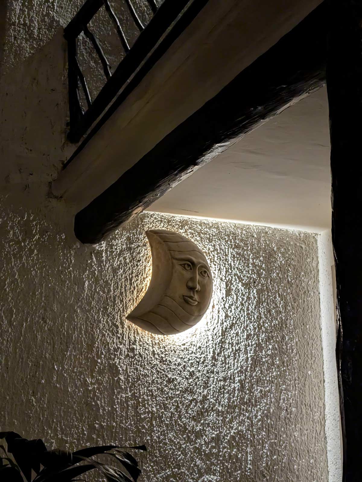 Funny Pictures – November 21, 2025