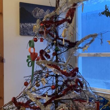 Funny Pictures – December 24, 2025