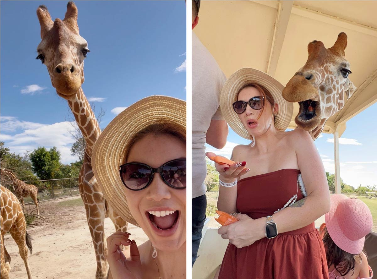 Funny Pictures – December 24, 2025