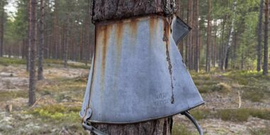 Funny Pictures – January 1, 2026