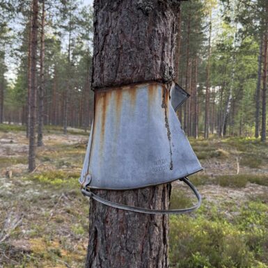 Funny Pictures – January 1, 2026