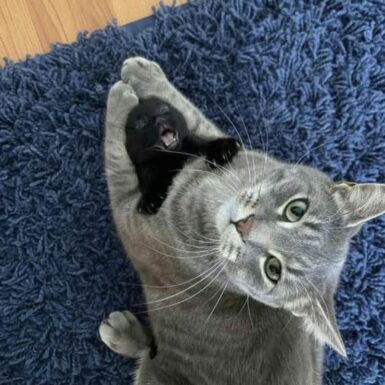 Funny Pictures – January 10, 2026