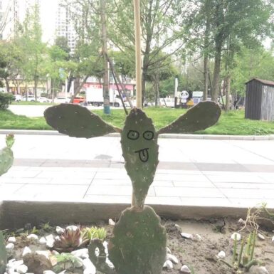 Funny Pictures – January 21, 2026