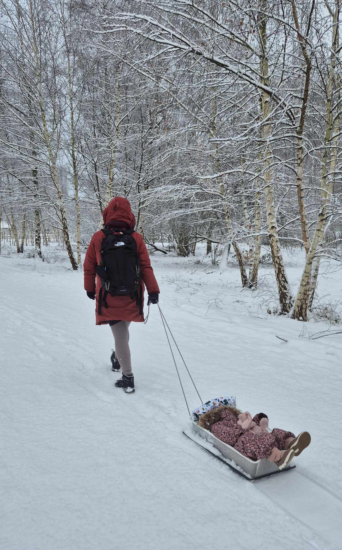 Funny Pictures – January 7, 2026