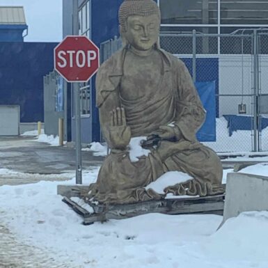 Funny Pictures – January 12, 2026