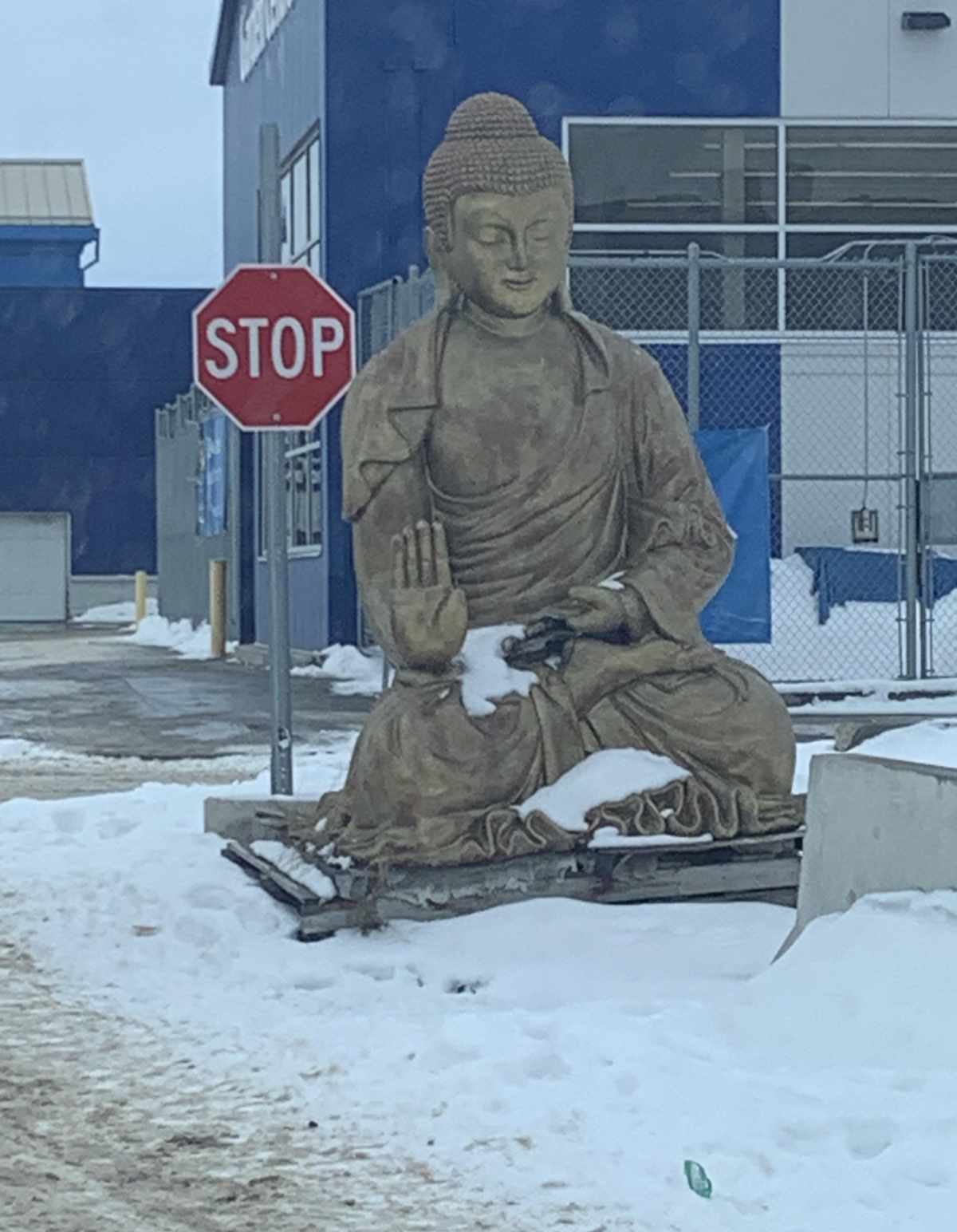 Funny Pictures – January 11, 2026