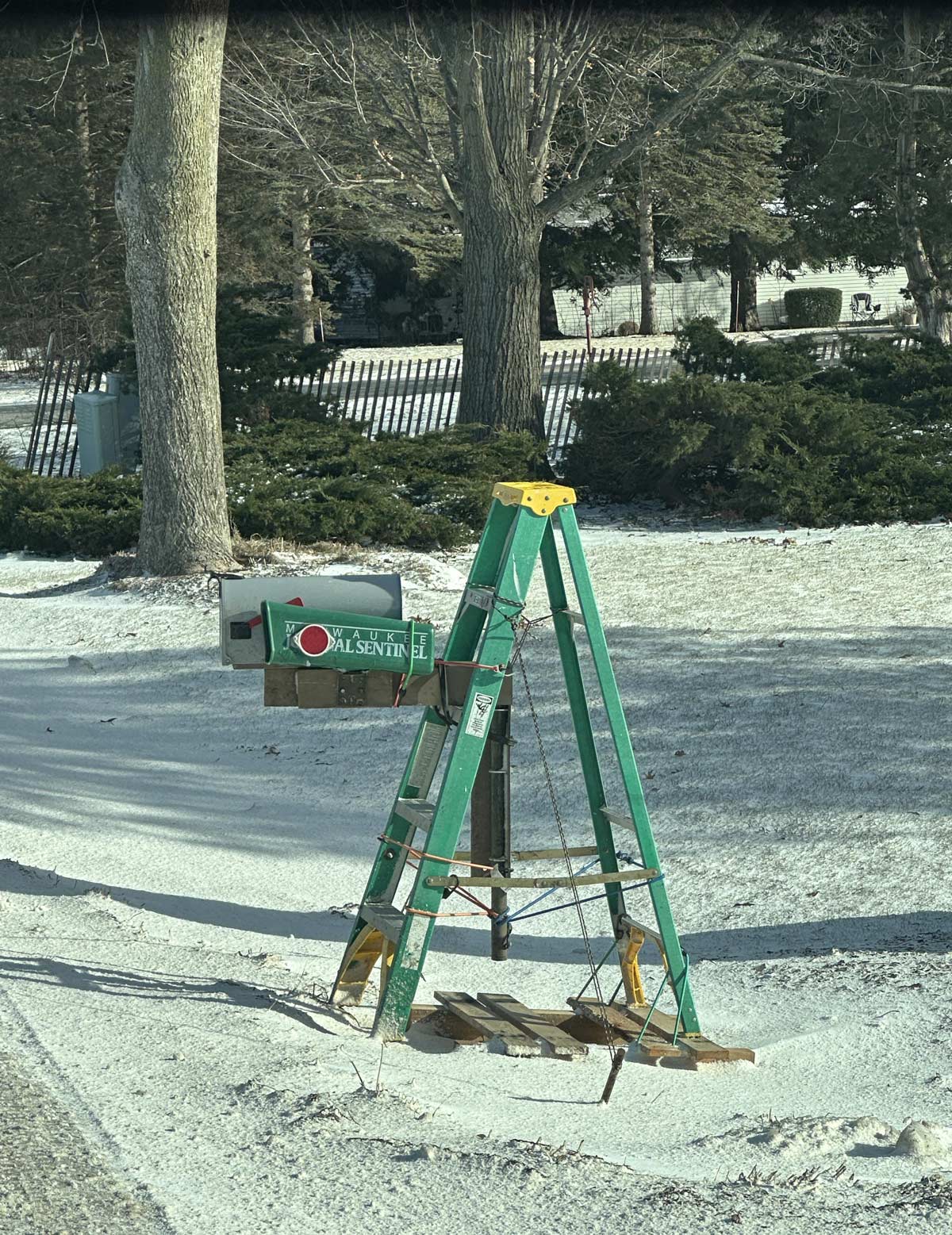 Funny Pictures – January 17, 2026